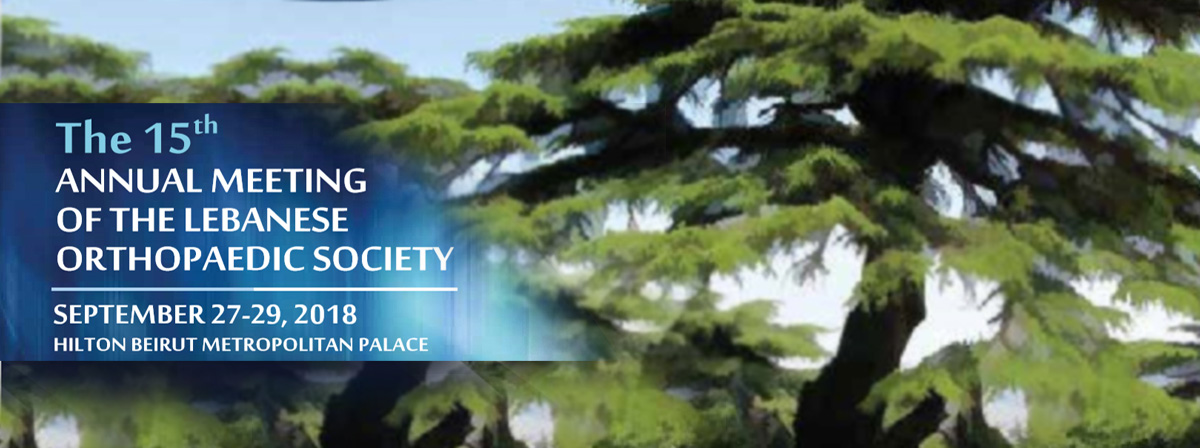 Lebanese Orthopaedic Society